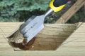 6 Types of Chisel Used in Workshop [Carpentry, Metalwork] PDF