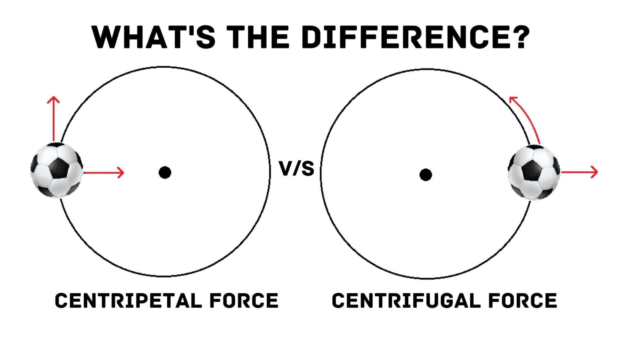 What Is The Difference Between Centripetal And Centri - vrogue.co What Is The Difference Between Centripetal And Centri - vrogue.co