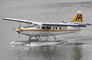 20 Different Types of Aircrafts & Their Uses [Pictures & PDF]